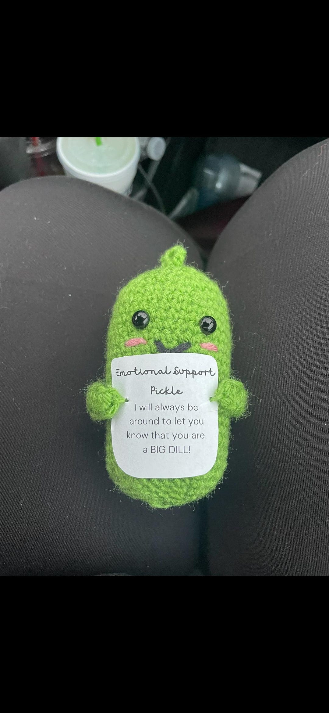 Crochet Emotional Support Pickle Handmade Funny Plush Pickle, Unique ...