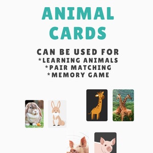 Printable Animal Cards Game - Etsy