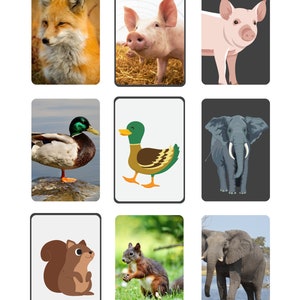 Printable Animal Cards Game - Etsy