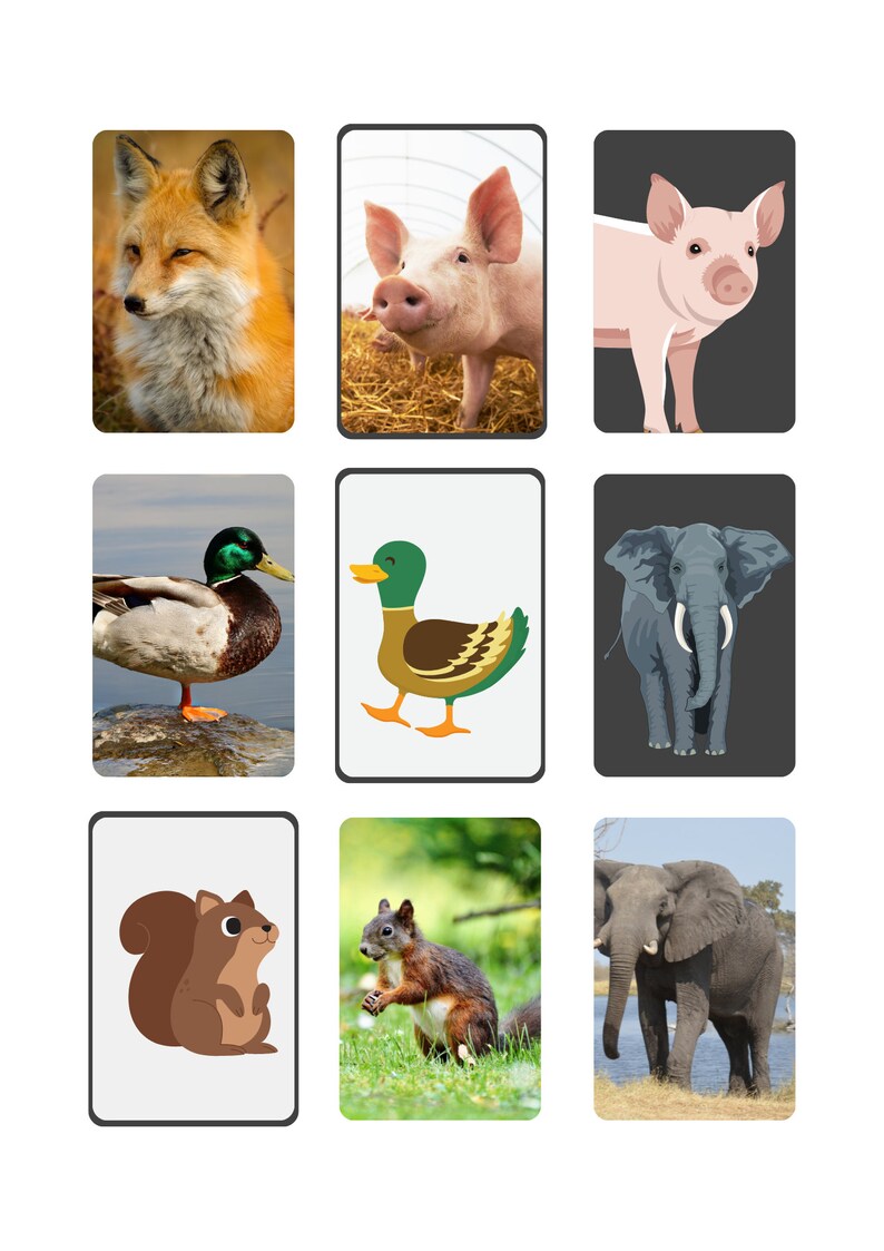 Printable Animal Cards Game - Etsy