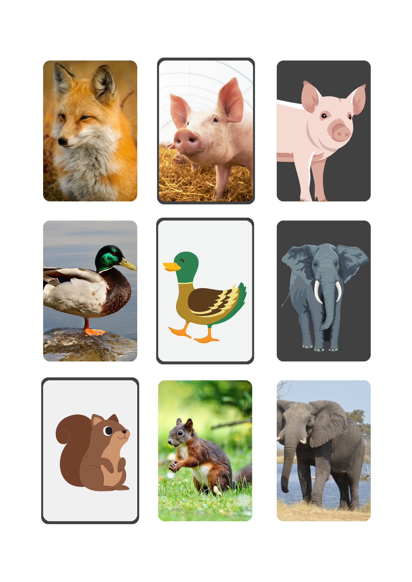 Printable Animal Cards Game - Etsy
