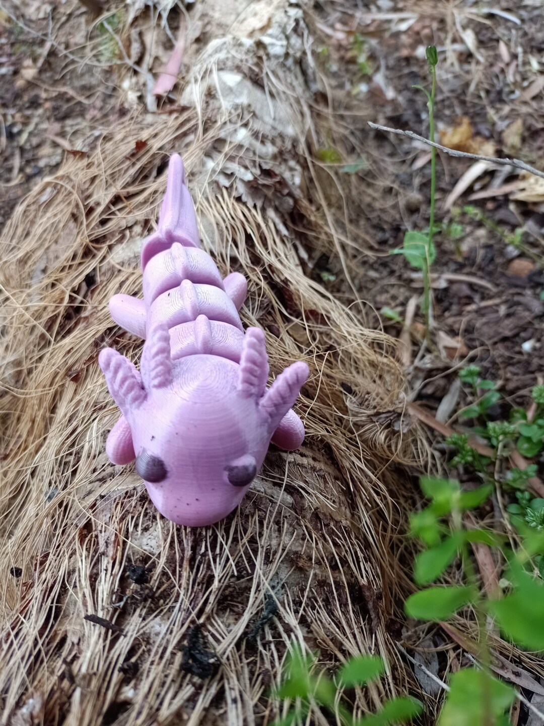 Glow Axolotl Toyaxolotladult Fidget Toysbaby Axolotlfidget - Etsy