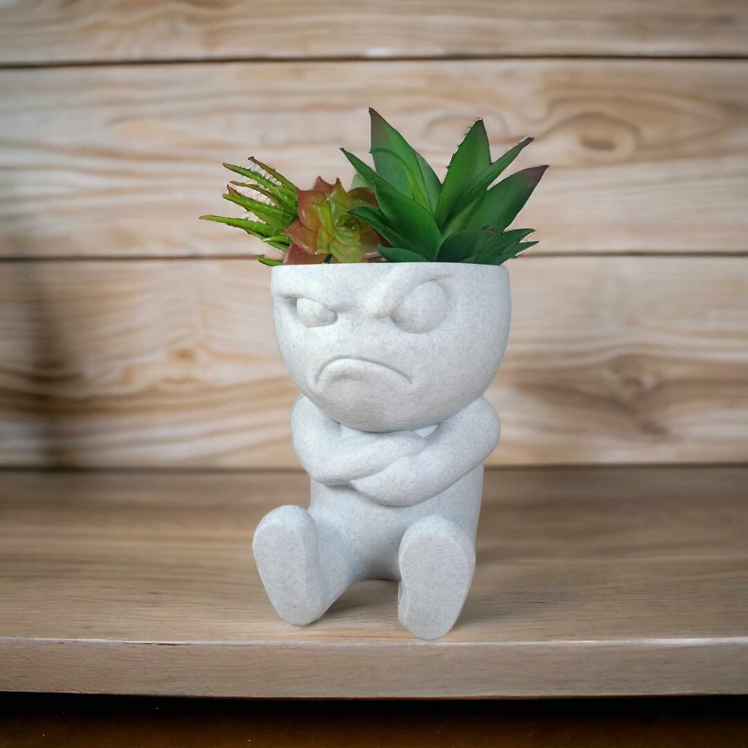 Angry Face Planter Pot - Unique 3D Printed Home Decor, Quirky Plant ...