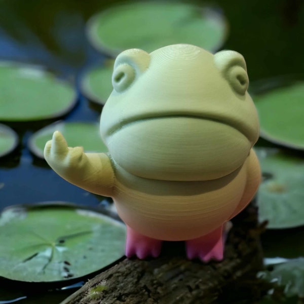 Middle Finger Frog - Etsy