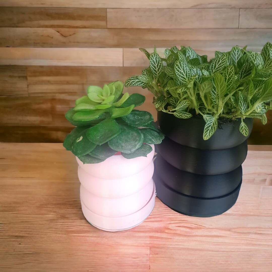 Bubble Plant Pot With Drip Tray Indoor Planter for Succulents - Etsy