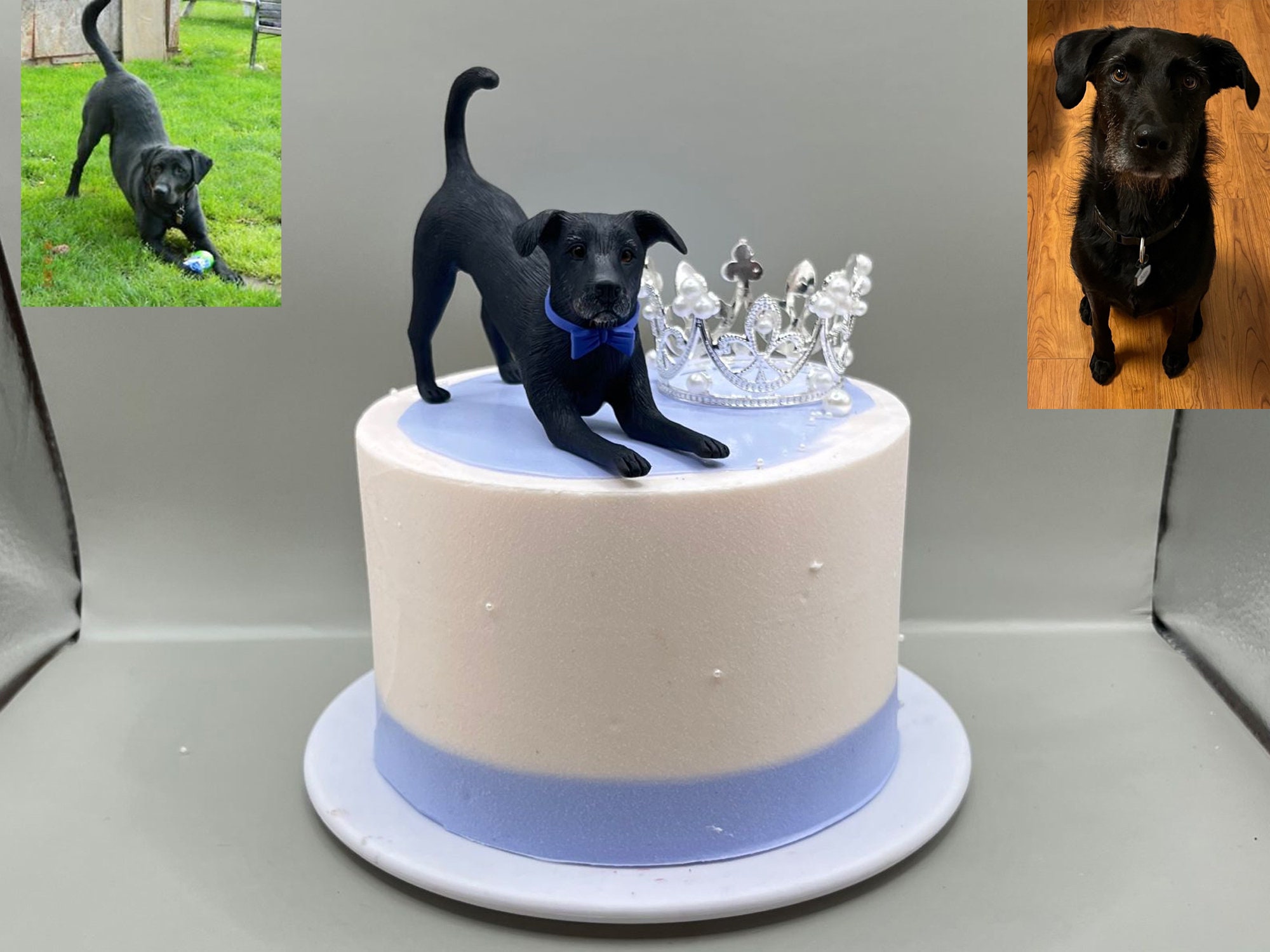 Dogs Eating Cake