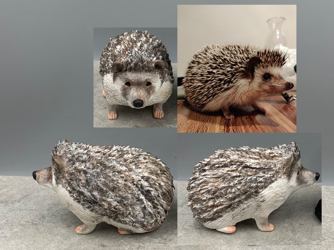 Personalized Customization of Pet Hedgehogs, Pet Hedgehog Statues ...