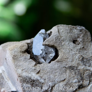 Stunning Herkimer Diamond in Matrix, Herkimer Diamond Pocket Specimen ...