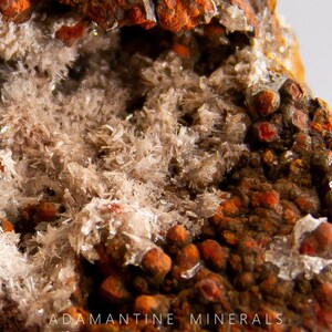 Adamite and Austinite on Botryoidal Goethite Matrix, Raw Specimen From ...