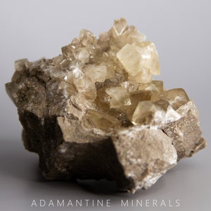 Golden Calcite Crystals on Dolostone Matrix From Michigan, With ...