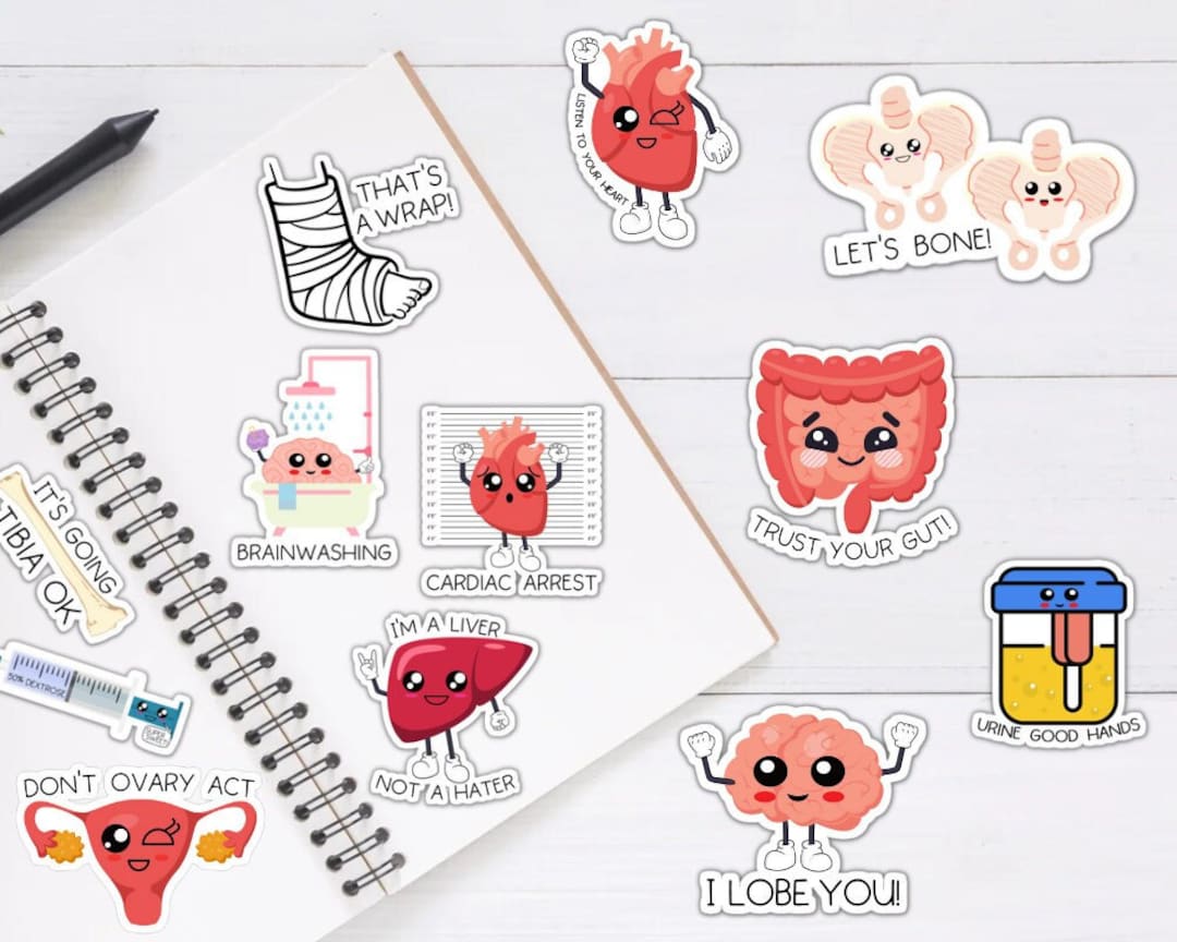 Anatomy Funny Stickers Medical and Nursing Stickers Funny Body Part ...