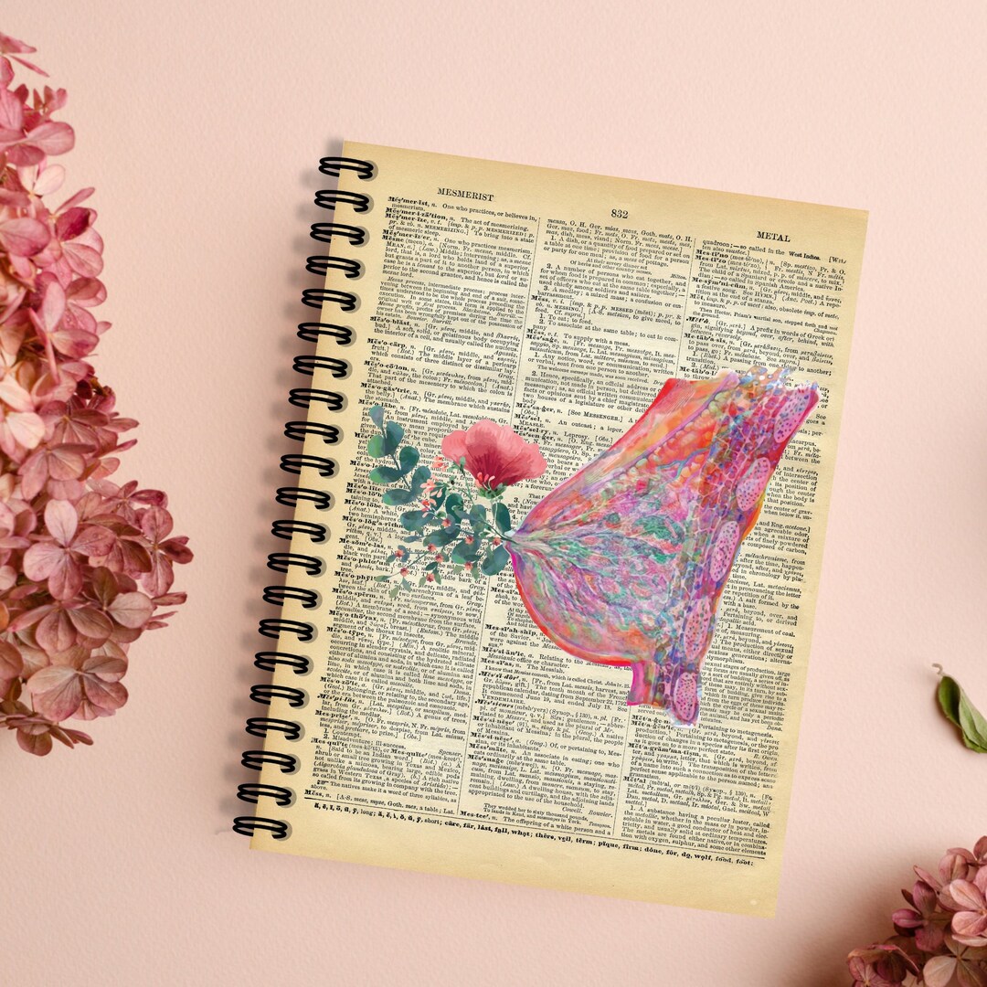 Vintage Anatomy Breast Notebook Midwife Notebook Student Midwife ...