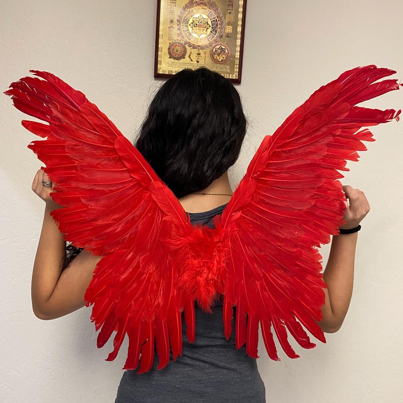 Wings Photo Prop - Etsy