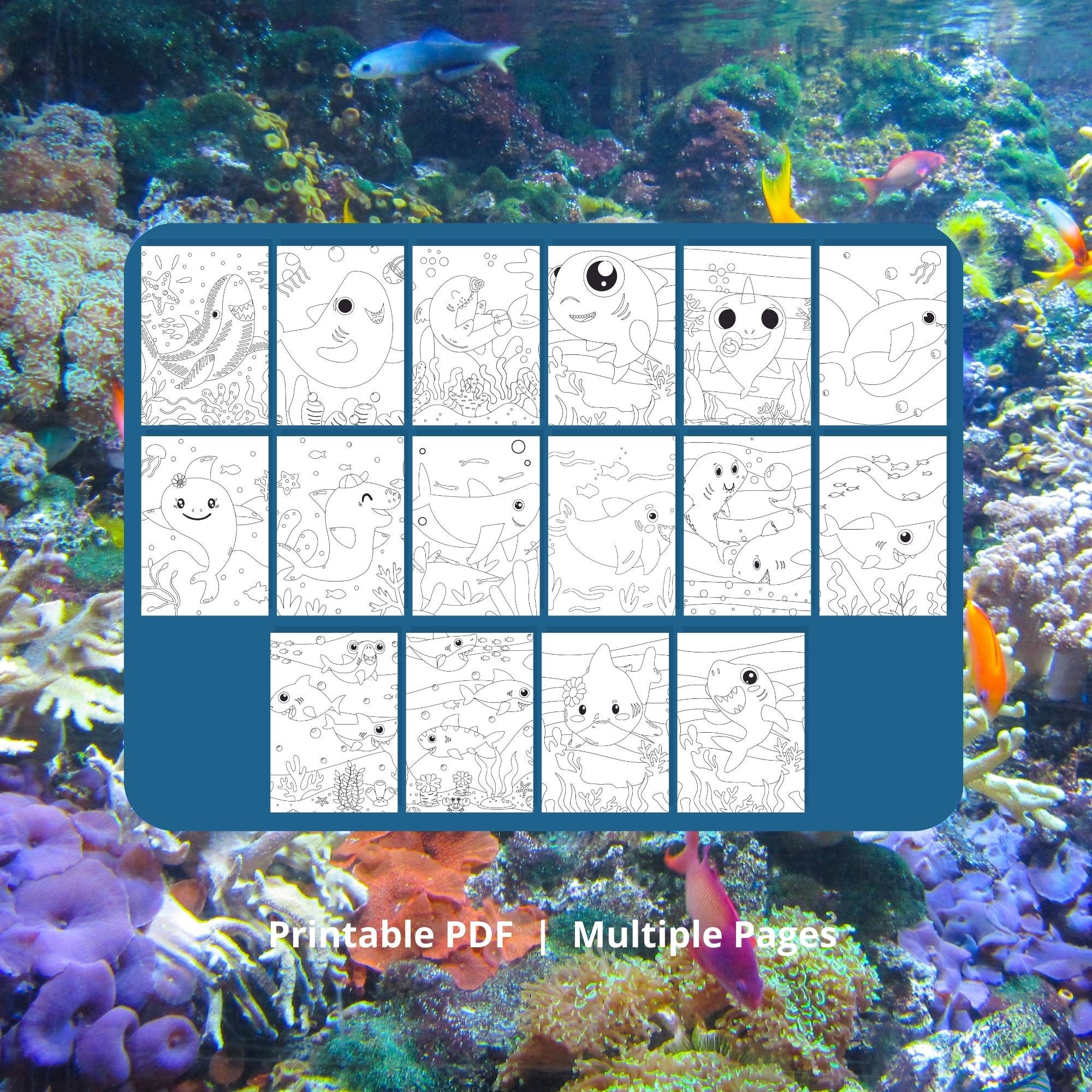 50 Pages Shark Coloring Pages, Cute Shark Coloring Book, Sea Life ...