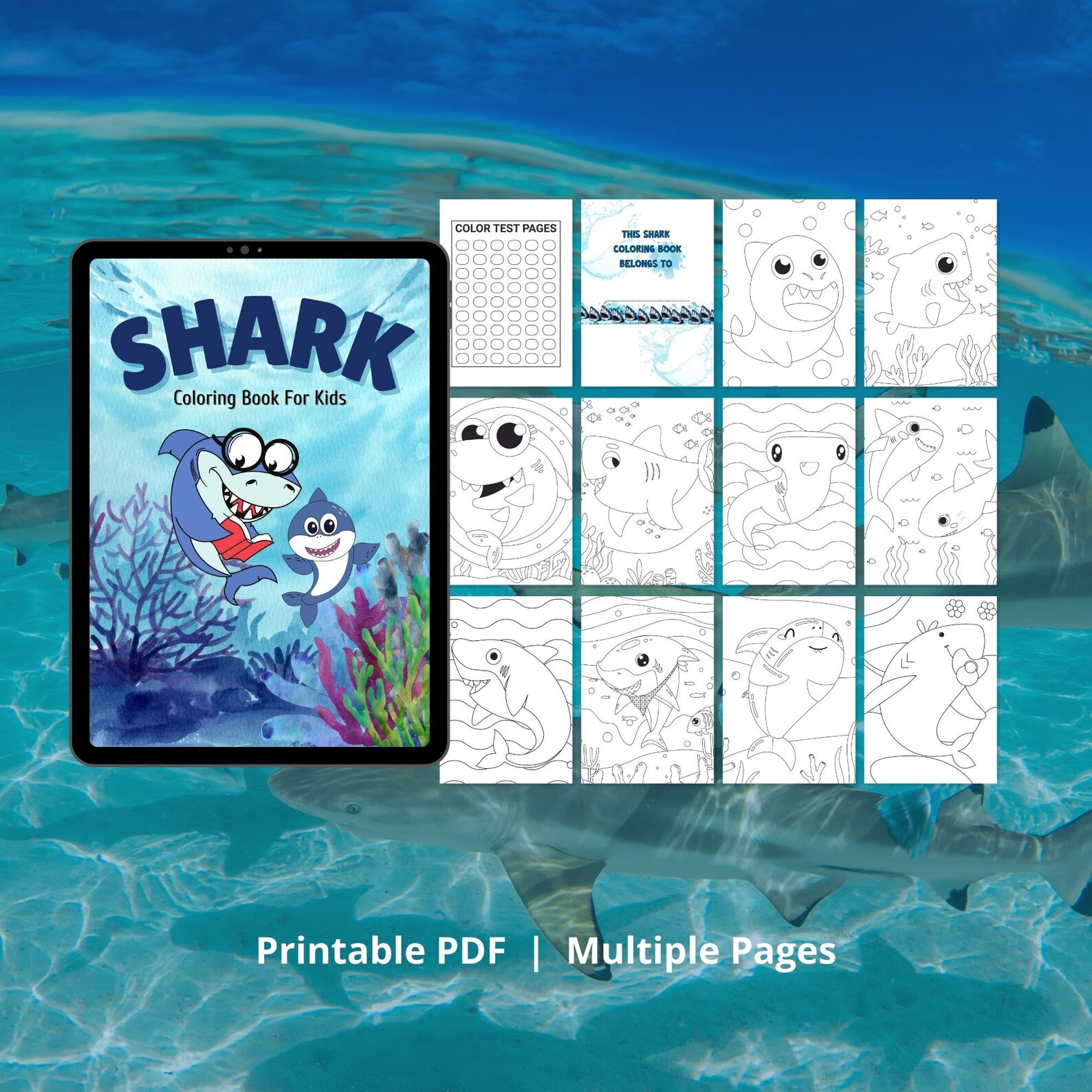 50 Pages Shark Coloring Pages, Cute Shark Coloring Book, Sea Life ...