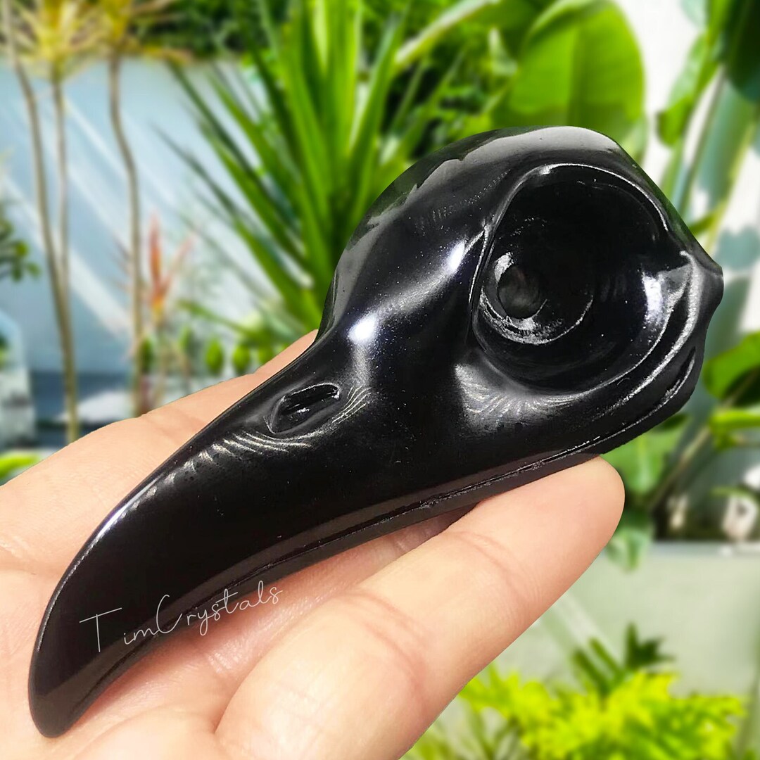 Natural Obsidian Crow Skull, Hand Carved Quartz Crystal Raven Skull, Mineral Specimen, Reiki ...