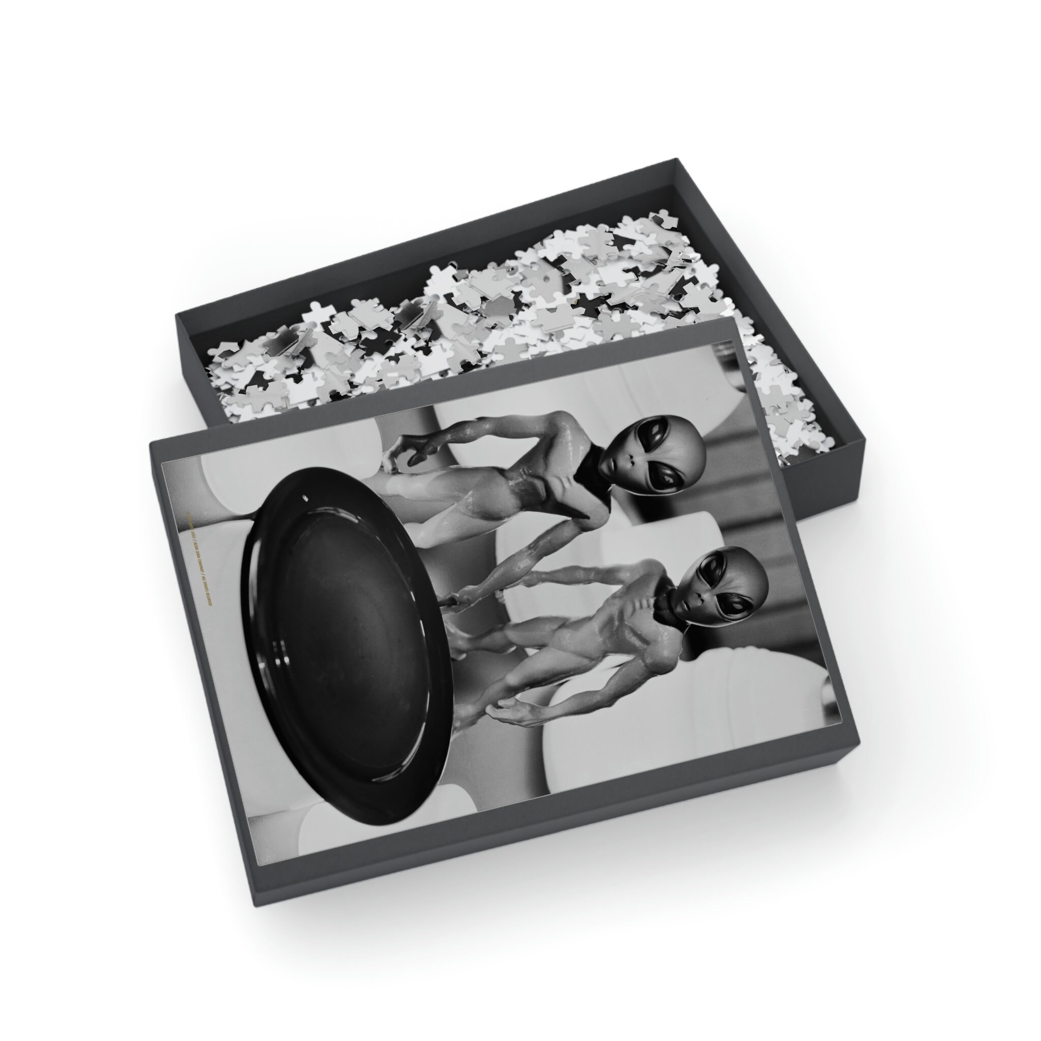 The Control Room Puzzle 1000-piece - Etsy