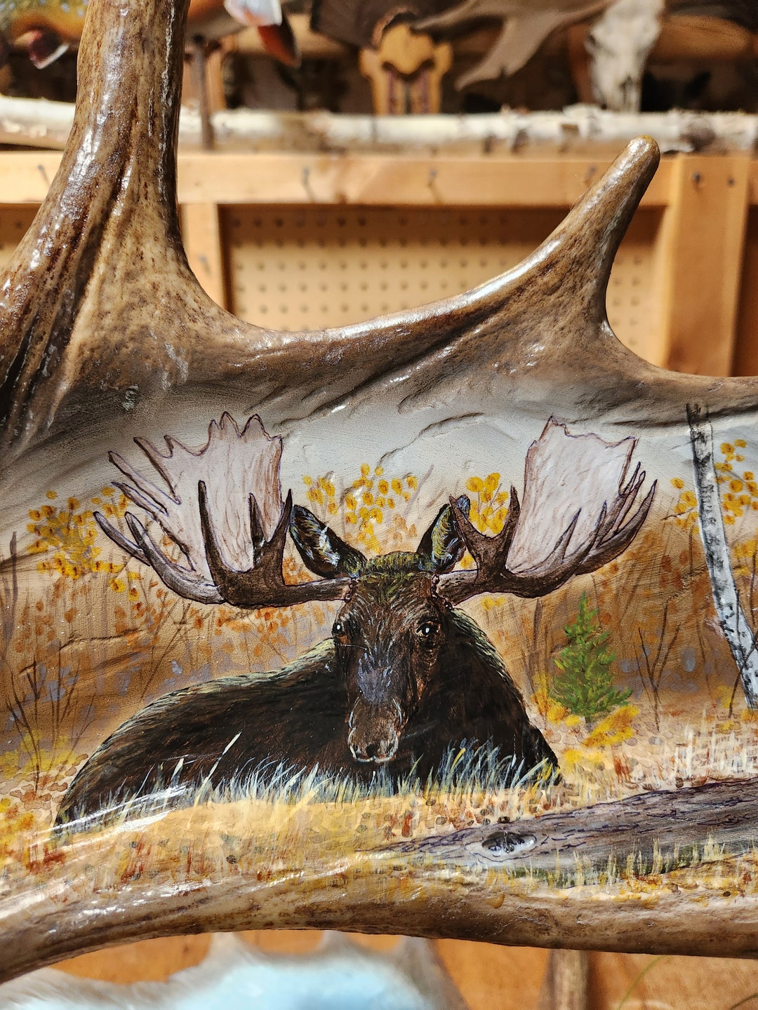 Hand Painted New England Moose Antler-moose - Etsy