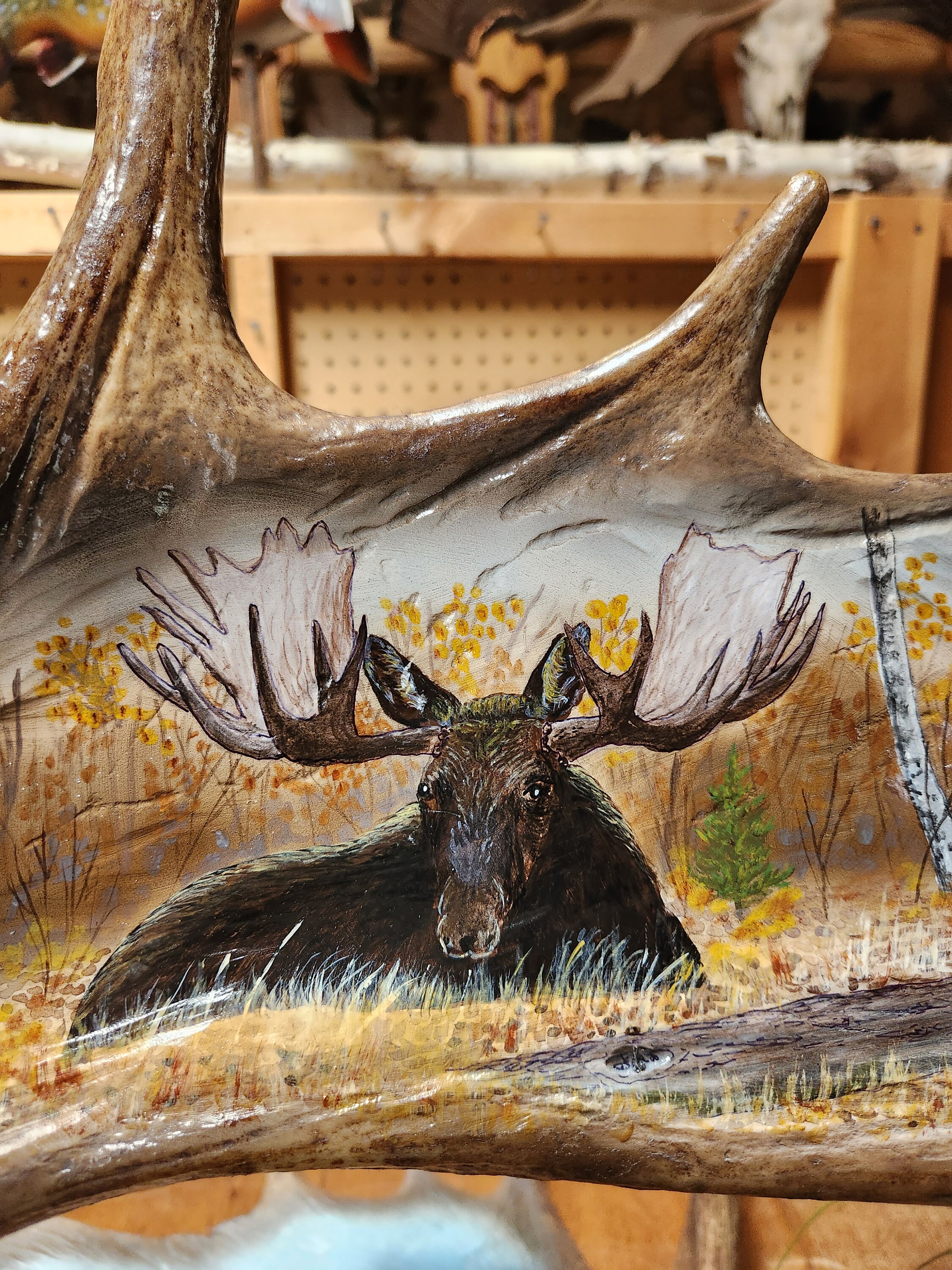 Hand Painted New England Moose Antler-moose - Etsy