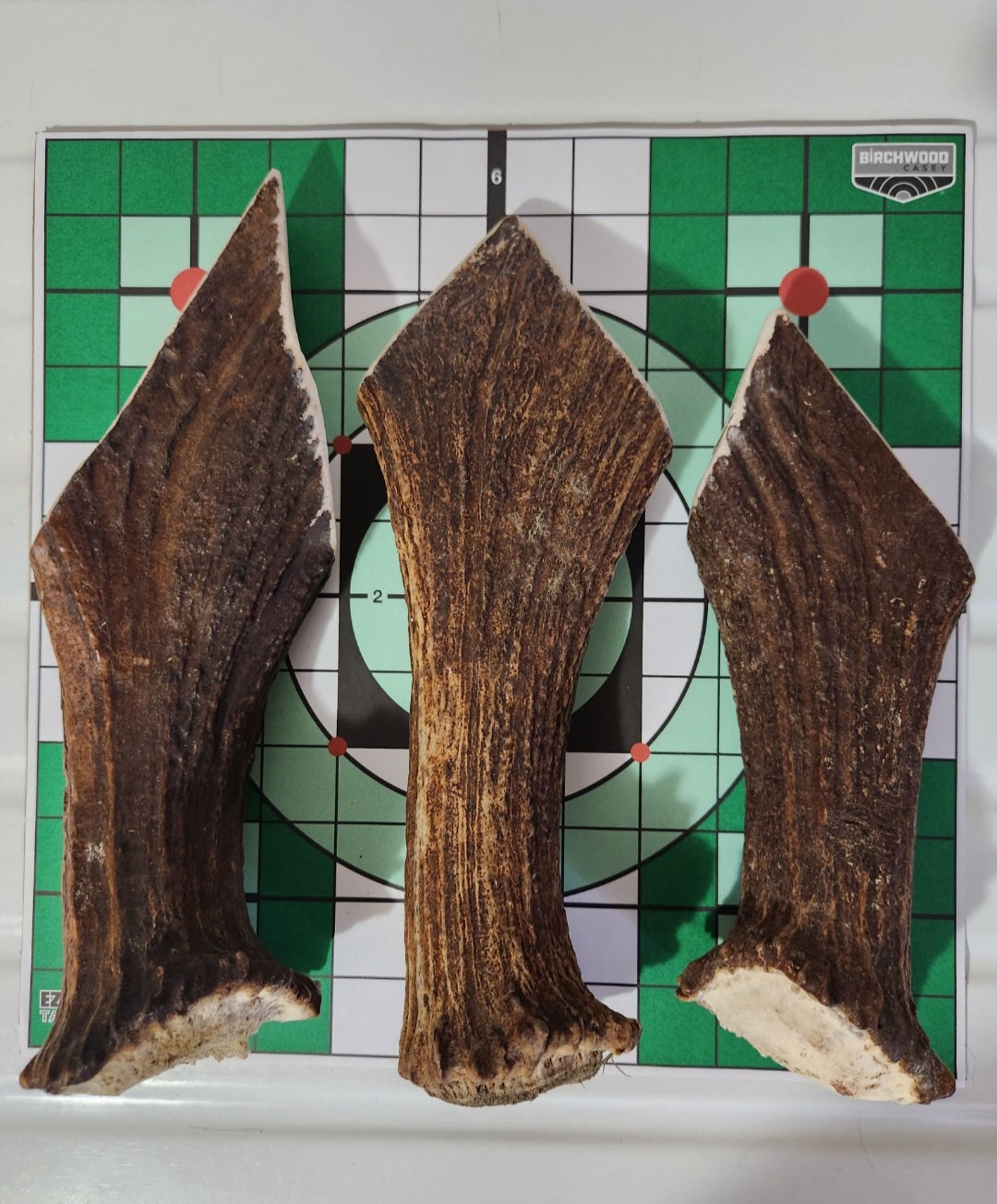 Moose Antler Base Dog Chews-large - Etsy