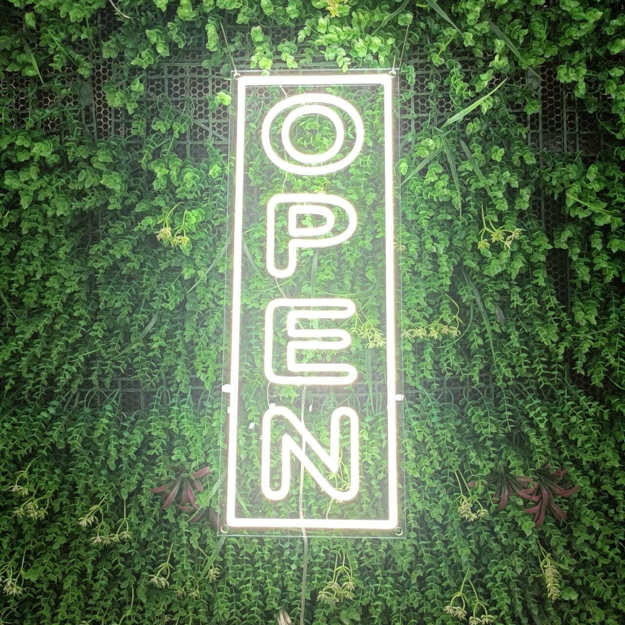 Open Neon Sign Open Custom Neon Sign Light up Sign Neon Sign Bedroom ...