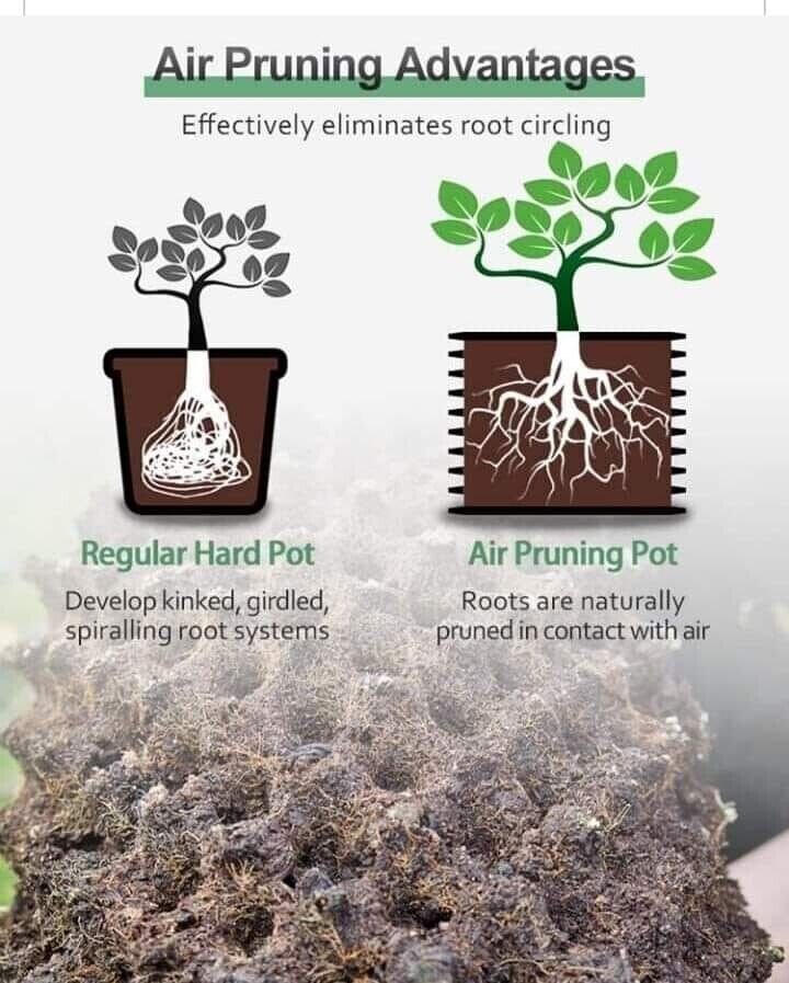 8 Inch Root Pruning Pot 20 to 25 Percent Better Root - Etsy