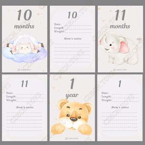 Baby Milestone Cards: 1-12 Months, Photo Prop (PDF) - Etsy