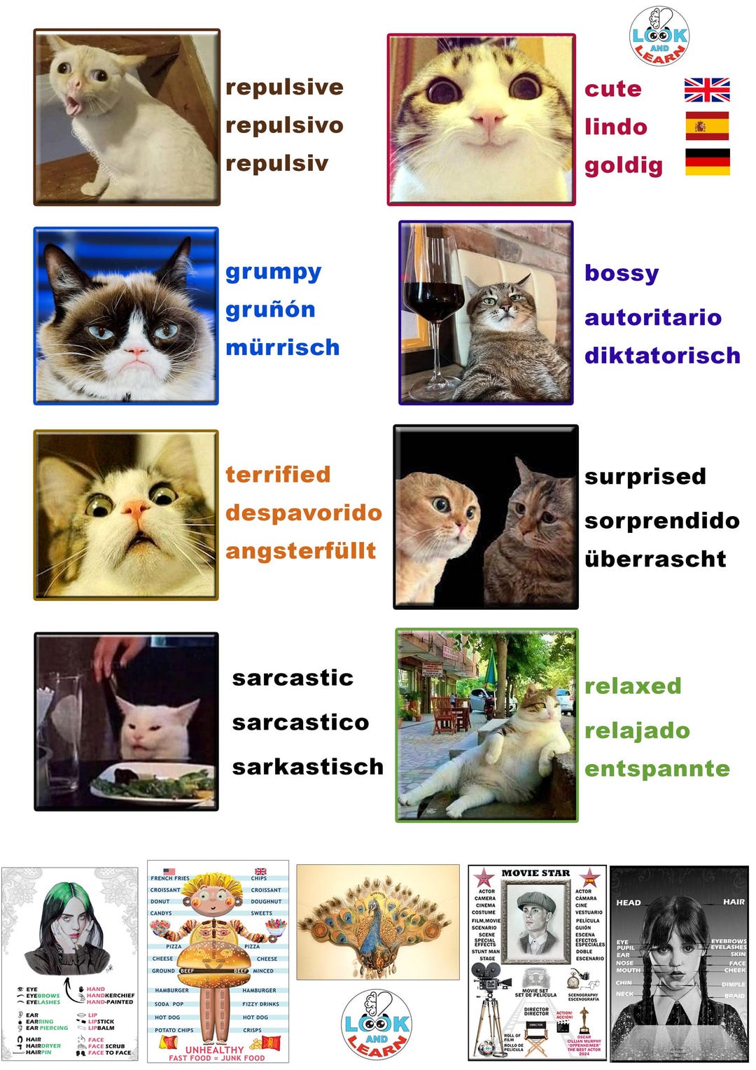 Cats Emotion Lesson, English Cats Meme Lesson, Funny Cats Meme Lesson ...