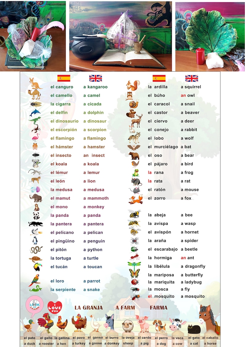 Animals English Spanish , Animales Salvajes, Animals for Kids, Animales ...