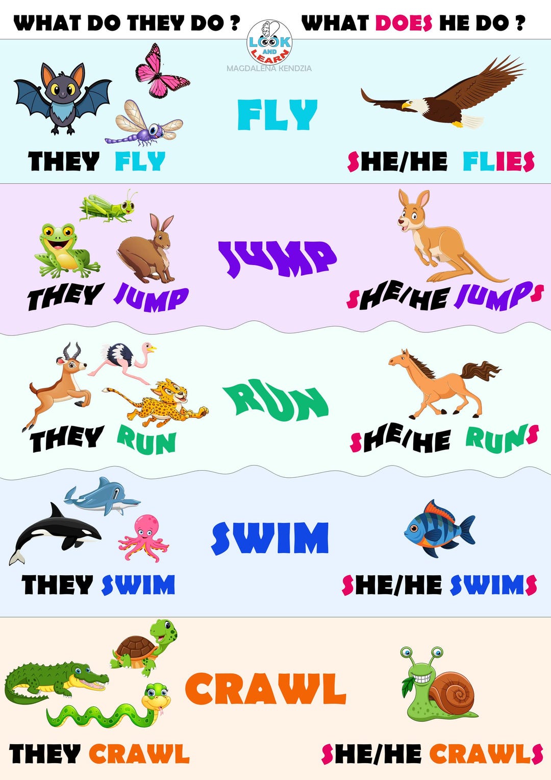 English Lesson, Present Simple, Do and Does, Animals Verbs, Animales ...