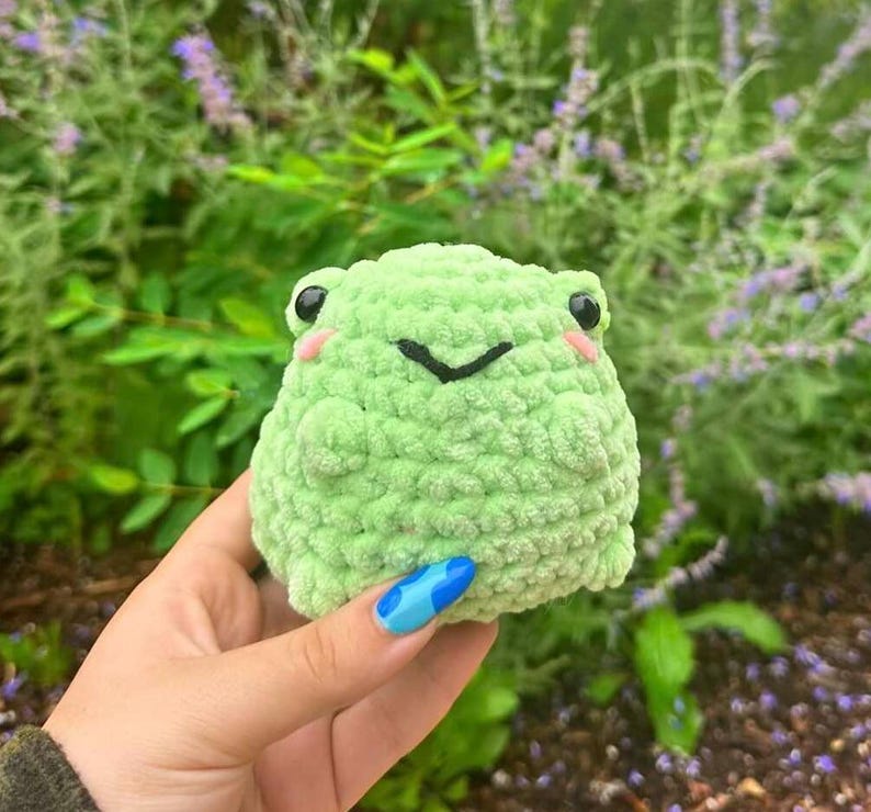 Cheeky Frog | Amigurimi Crochet Plushie - Etsy