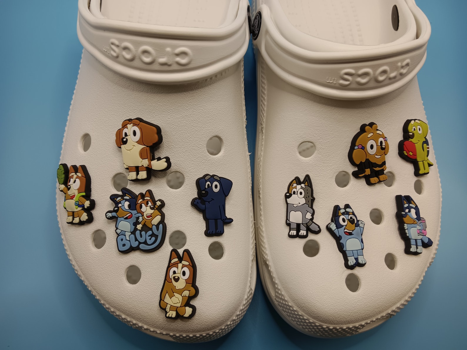A Set of 10pcs Cute Dogs Croc Charmsbluey Dog With Friends Crocs ...