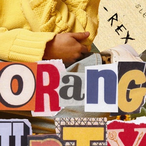 Rex Orange County Aesthetic Poster - Rex Orange County Music Print ...