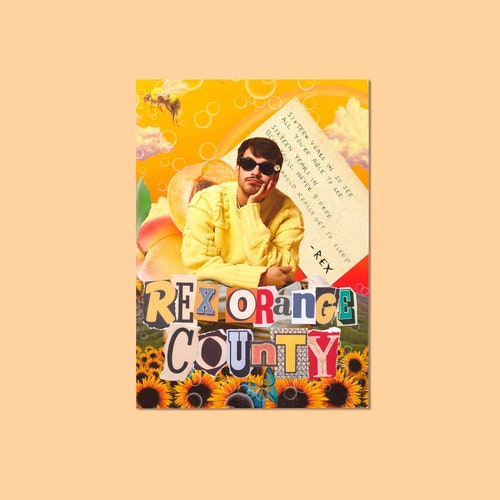 Rex Orange County Aesthetic Poster Rex Orange County Music - Etsy
