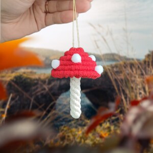 PDF Tutorial of Macrame Toadstool for Beginners / Mushroom DIY / Christmas Tree Ornament ...