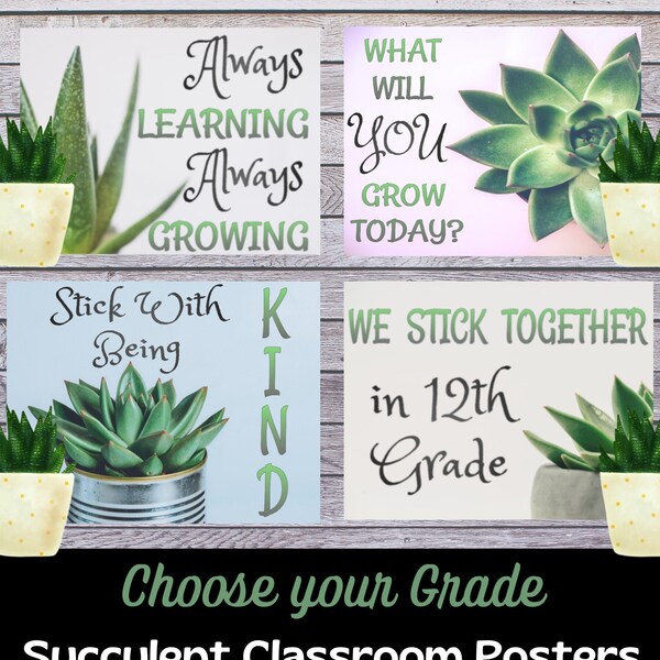 Succulent Decor - Etsy