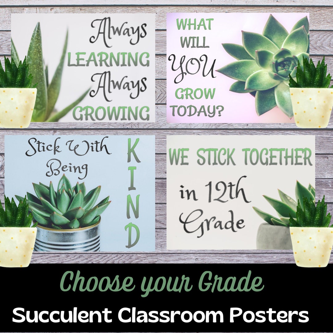 Succulent Classroom Posters, Back to School Posters, Growth Mindset ...