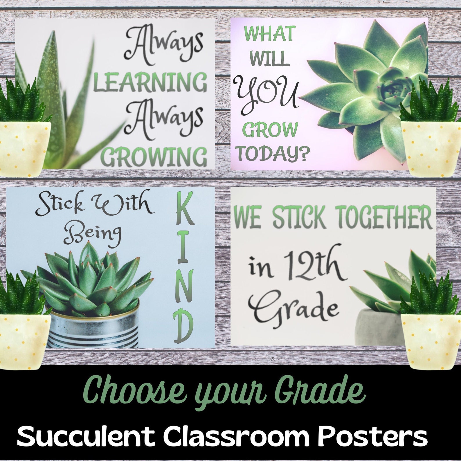 Succulent Classroom Posters, Back to School Posters, Growth Mindset ...