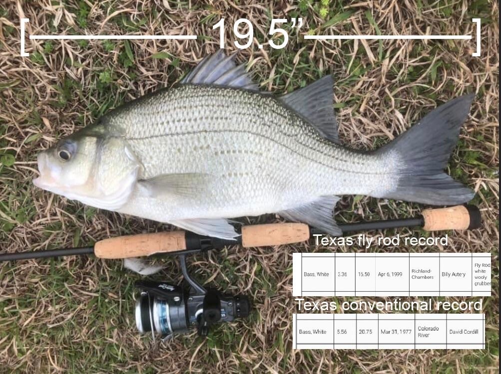 Balanced Rattle Fly Jig - Etsy