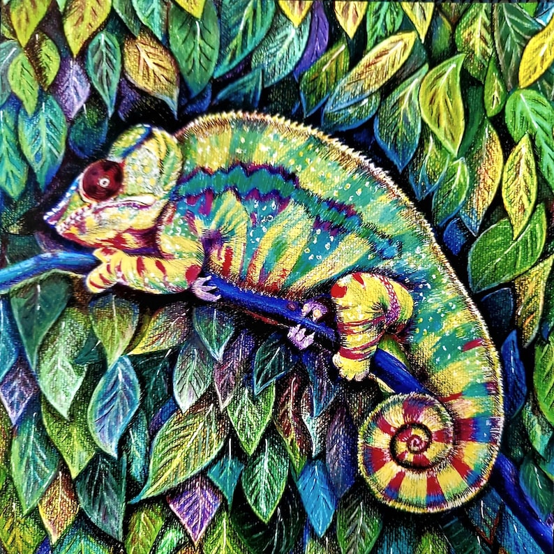 Karma Chameleon, Original Giclée Fine Art Print, Madagascar - Etsy