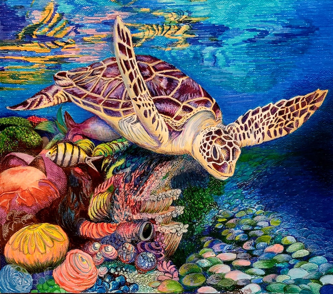 Hawksbill Sea Turtle. Original Signed Ink Drawing, Giclée Fine Art ...