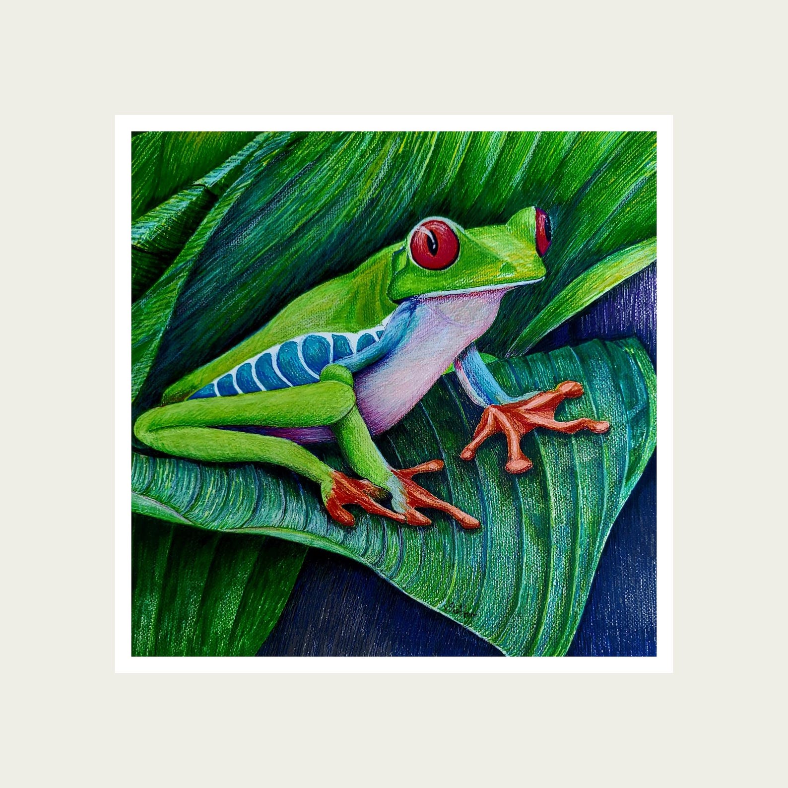 Red-eyed Tree Frog. Original Signed Pen&ink Drawing, Giclée Fine Art ...