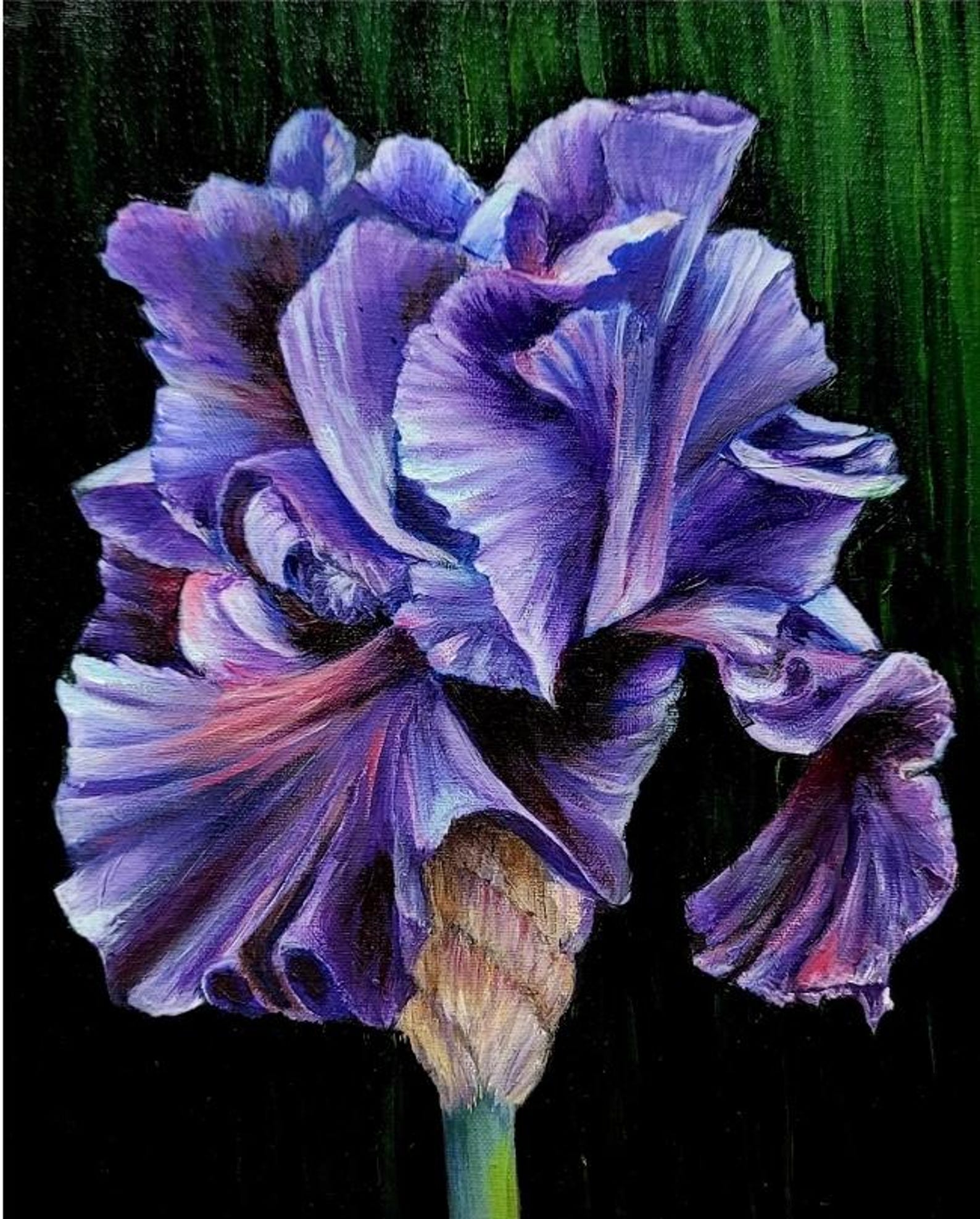 Iris Germanicus, Giclee, Limited Edition Oil Painting Original, Signed ...