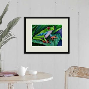 Red-eyed Tree Frog (agalychnis Callidryas), Giclee, Limited Edition ...