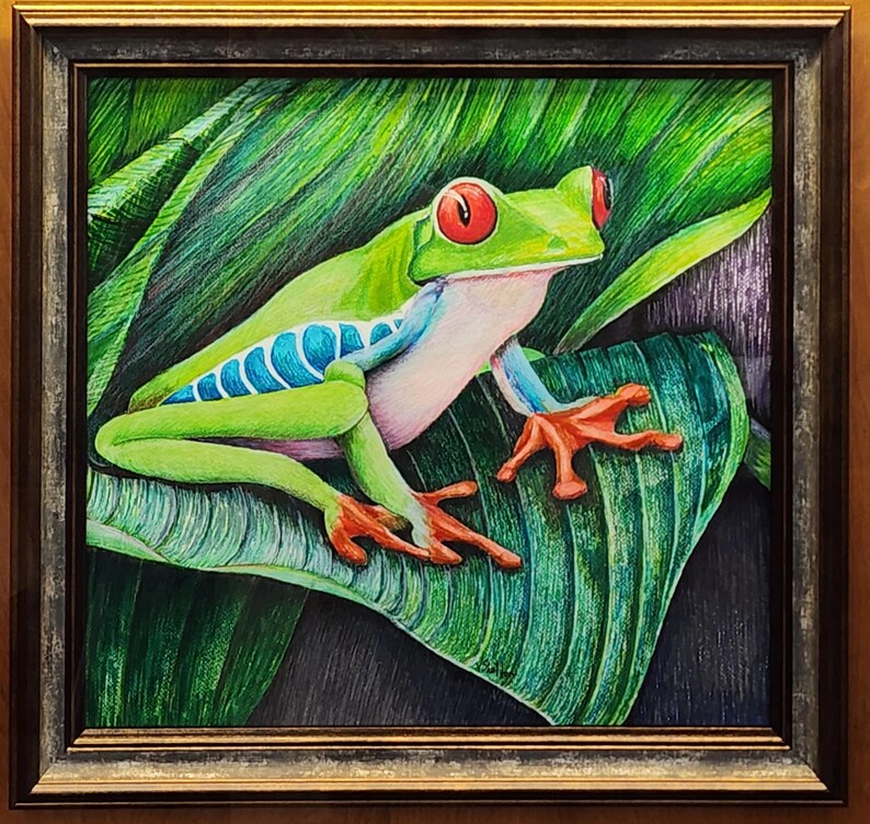 Red-eyed Tree Frog (agalychnis Callidryas), Giclee, Limited Edition ...