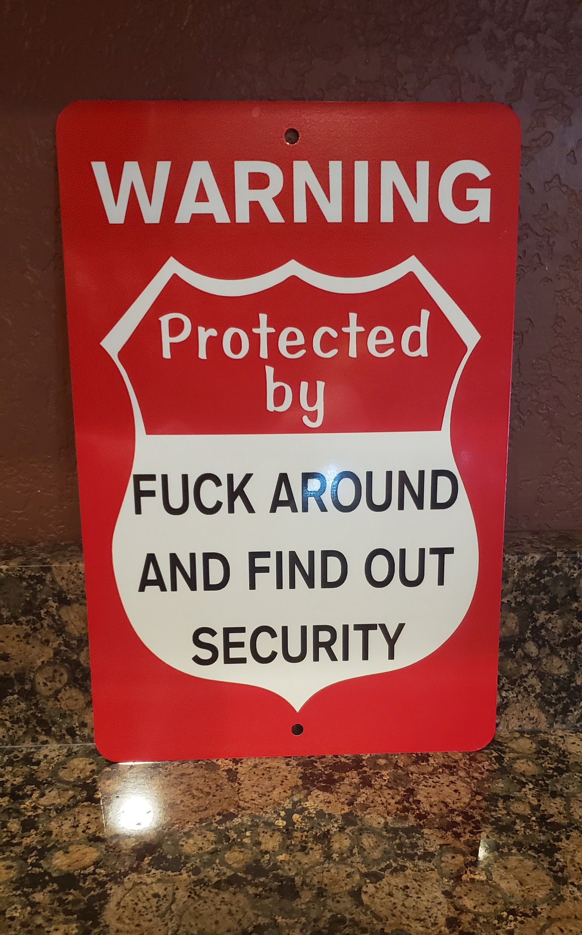Protected by F*** Around and Find Out Aluminum Sign, 8x12 Indoor ...