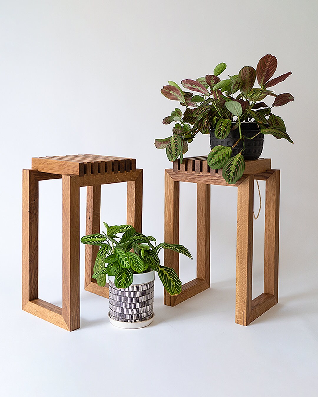 White Oak Wood Plant Stands - Etsy
