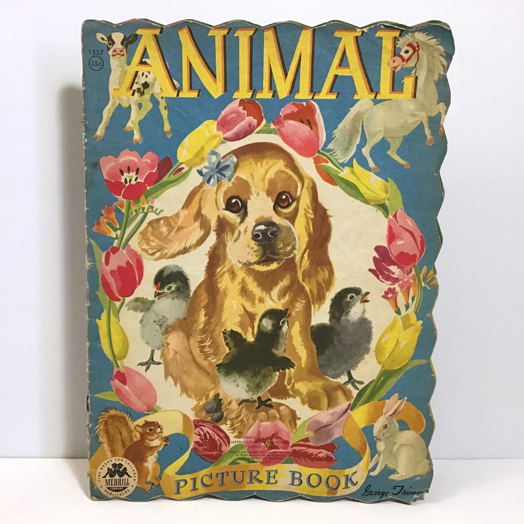 Animal Picture Book - George Trimmer - Vintage 1953 Illustrated ...