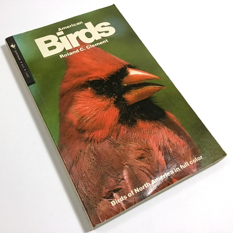 American Birds - Roland C. Clement - Vintage Paperback Book 1983 Bantam ...