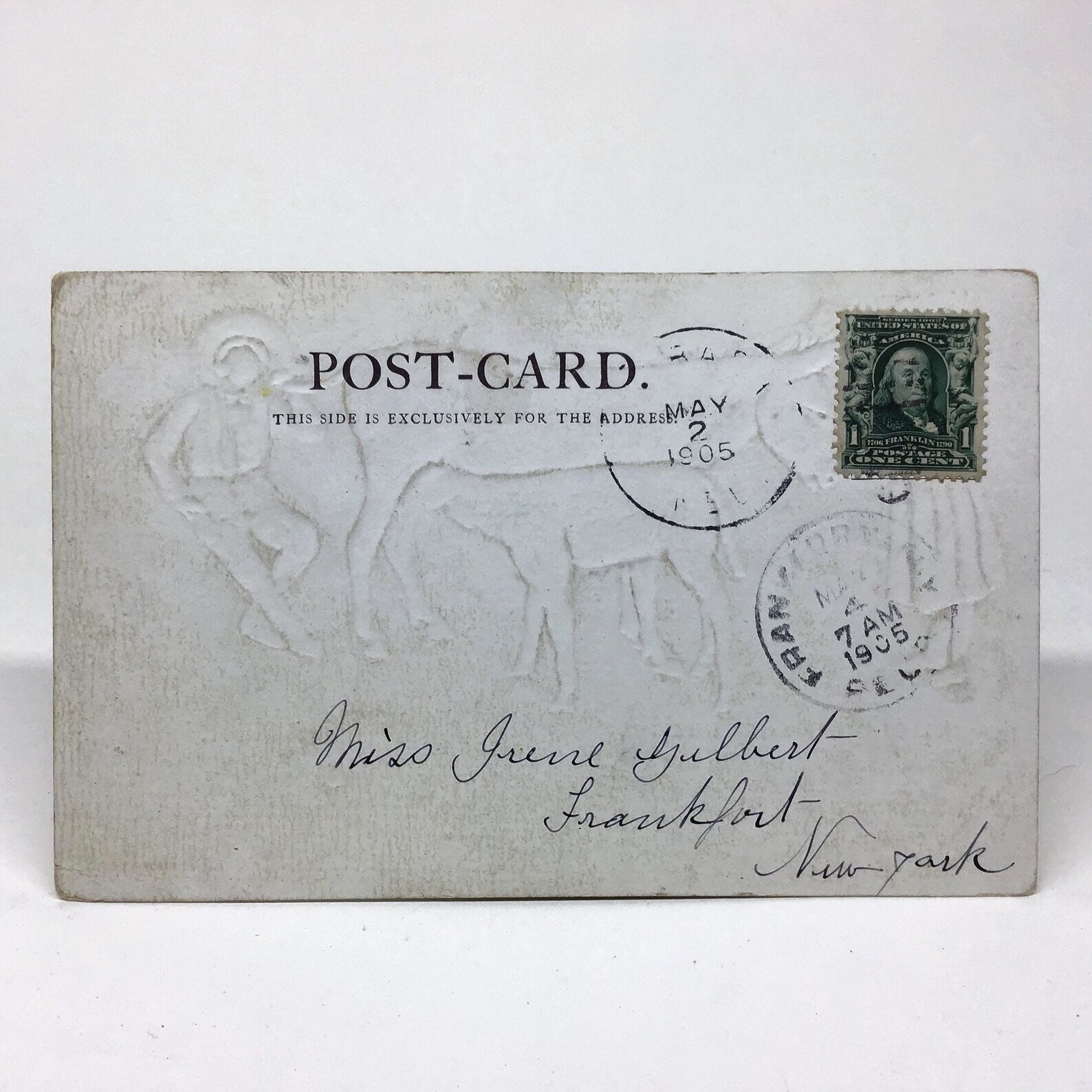 1905 Novelty Postcard of a Boy and Girl Using a Donkey as a Telephone ...